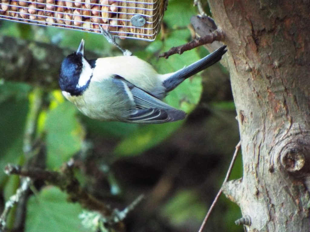 The Adventures of Scott and Mirror Man [Part I] - Words Of A Spoon Thief